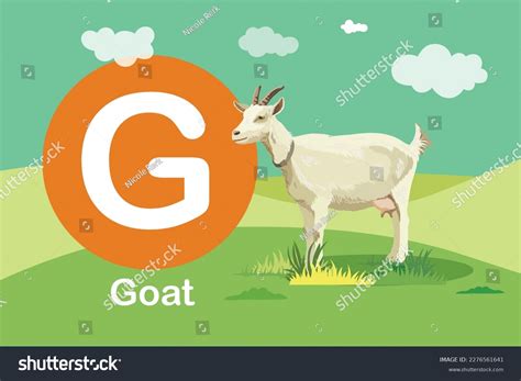 Flash Card Education Tools Alphabet A Z Stock Vector Royalty Free