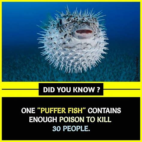 Pin By Tina On Synchonicity In 2025 Fun Facts About Life True