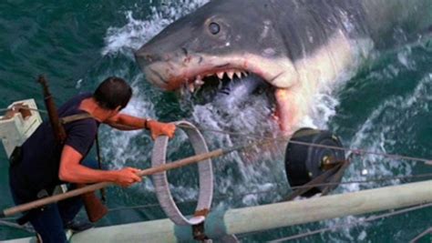 New Musical Bruce Will Dramatize Making Of Jaws Nerdist