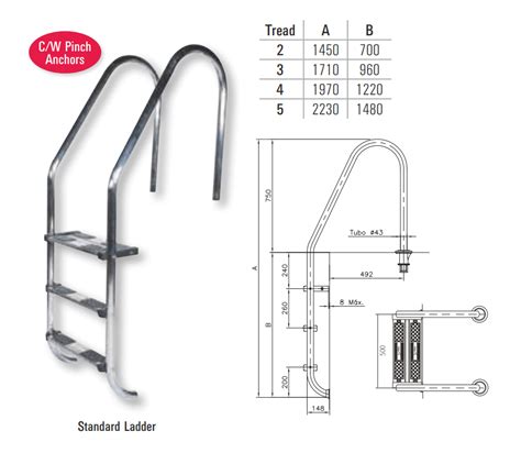 Inground Pool Standard Sizes Olympic Size Swimming Pool Dimensions
