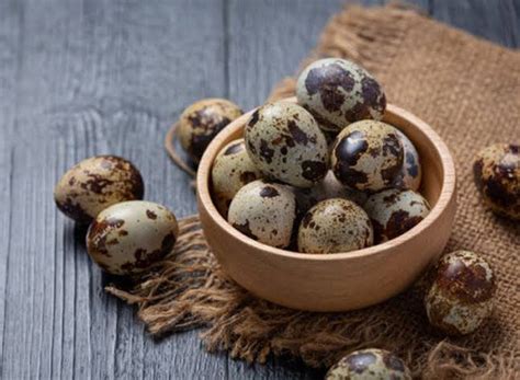 8 Manfaat Konsumsi Telur Puyuh Si Kecil Yang Kaya Nutrisi