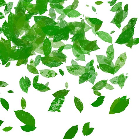 Leaves On Ground Pngs For Free Download