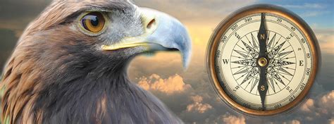 The Soul Compass Path Eagle Therapies