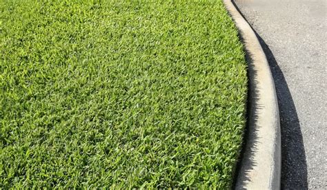 Fix Compacted Lawn Soil Simple Steps That Work