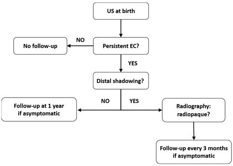 Echogenic Content In The Fetal Gallbladder Systematic Review Of