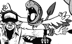 Archen Pokémon Bulbapedia The Community Driven Pokémon Encyclopedia