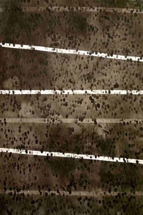 Biometric Diagram From Series Artwork