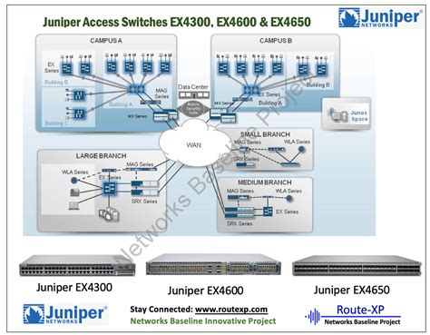 Route Xp Private Network Services Comparison Between Juniper Ex4300