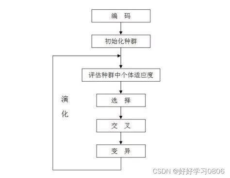 遗传算法genetic Algorithm的学习及简单实现java遗传算法公式 Csdn博客