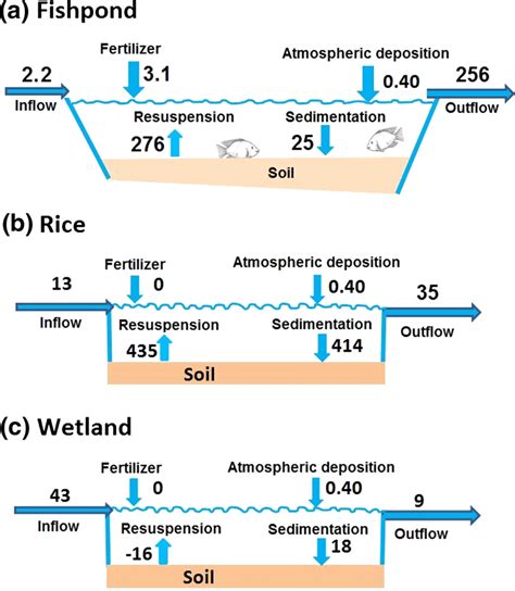 Estimated Sediment G M⁻² Day⁻¹ Fluxes For Different Processes In Download Scientific Diagram