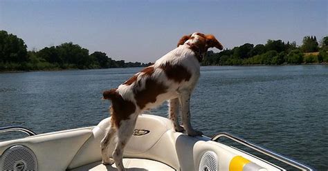 Looking For Catfish Imgur