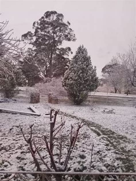 Late Winter Brings First Snow Guyra Gazette