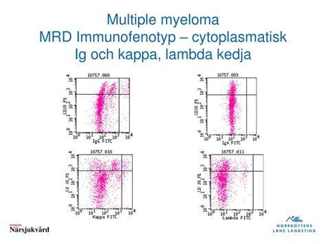 Ppt Multipelt Myelom Diagnostik Klassifikation Powerpoint