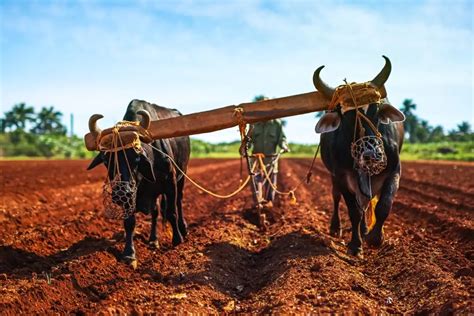 Yoke Meaning Building A Bigger Yoke