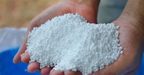 Importance Of Nitrogen For Healthy Grass