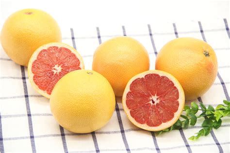 西柚图片素材 西柚设计素材 西柚摄影作品 西柚源文件下载 西柚图片素材下载 西柚背景素材 西柚模板下载 搜索中心