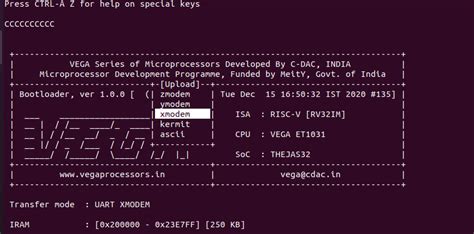 TM Digit Segment Display With ARIES V Board VEGA Processors Blog