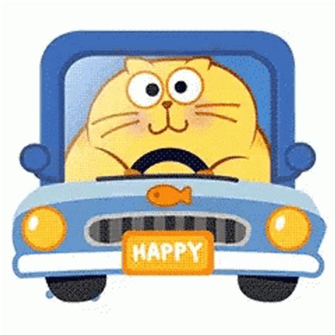 Cat Driving S