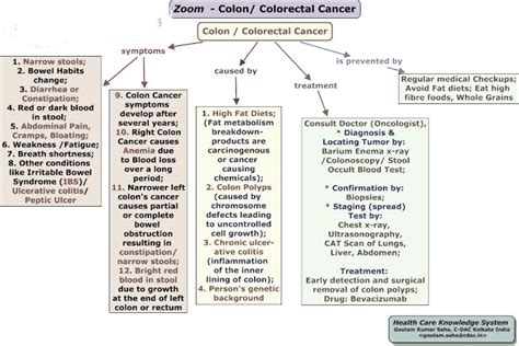 Solved Concept Map Assessment For Colorectal Cancerhealth Variation