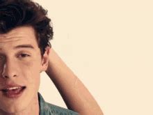 Shawn Mendes S Tenor
