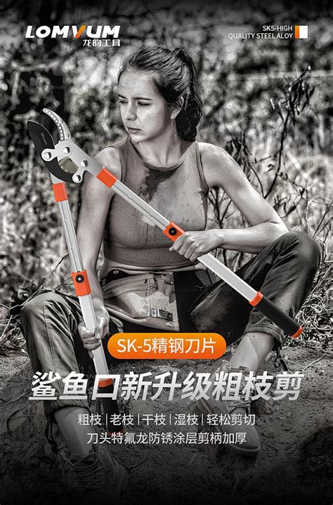 龙韵修枝园艺剪刀修剪树枝果树剪刀粗枝剪大力剪刀省力园林强力剪 天猫 花瓣网 龙韵修枝园艺剪刀修剪树枝果树剪刀粗枝剪大力剪刀省力园林强力剪 天猫 花瓣网