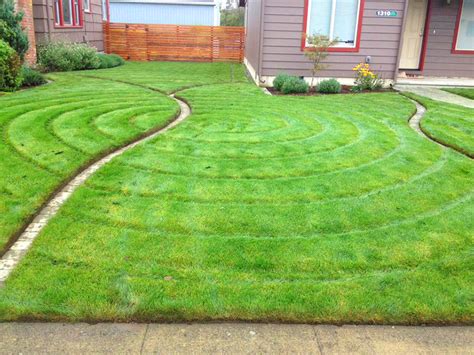 Rockaway Beach Landscaping Grass North Coast Lawn