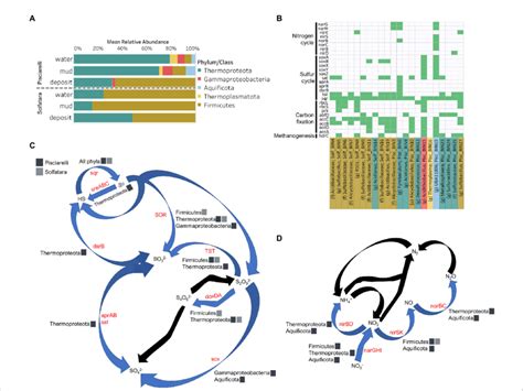 Taxonomy And Functional Potential Of Metagenome Assembled Genomes