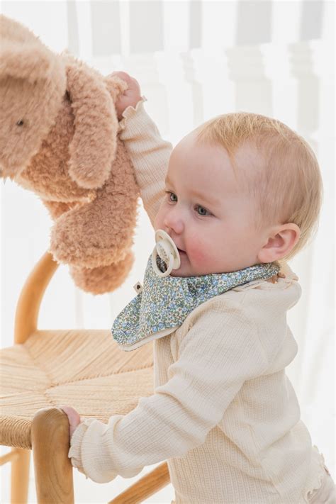 Пустышка латексная BIBS De Lux - Baby Pink, 0+ мес. купить Пустышки ...