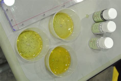 Esa Belgian Teenagers Run Microgravity Experiment At Estec