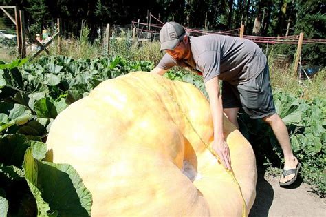 The Secret To Growing Giant Pumpkins Like The Pros Do Complete