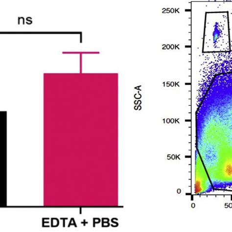 Flow Cytometric Analysis Of T Cells Using Pbs And Pbsedta 1 Mm Left