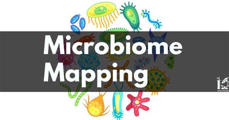 Microbiome Mapping Australia