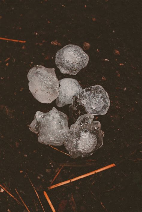 Hailstone Earth Garden Free Photo On Pixabay