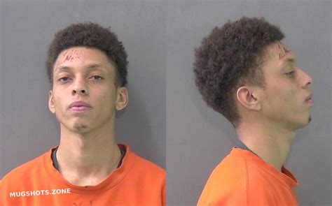 Wallace Anthony Aaron 02 23 2025 Bell County Mugshots Zone