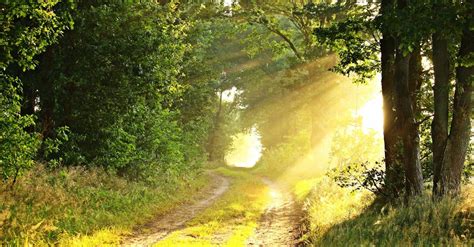 Tout Comprendre Sur Les Mooc En Seulement 3 Minutes