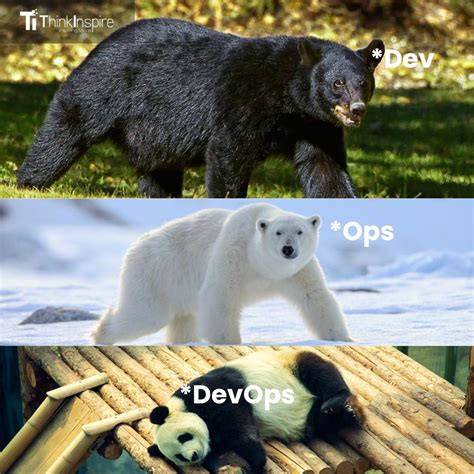 Thinkinspire It Services On Linkedin Devopslife Techhumor