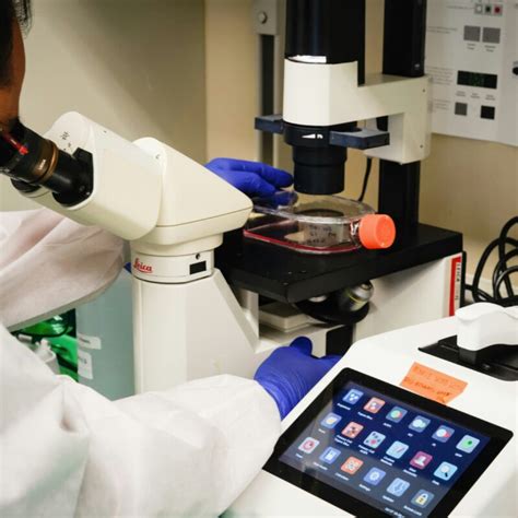 What Is Biotechnology Types Examples And Applications • Biotech Health X