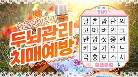 두뇌 나이를 젊게 만드는 퀴즈 숨은단어찾기 치매예방 퀴즈 초성퀴즈 단어퀴즈 두뇌운동 뇌건강 치매테스트 기억력