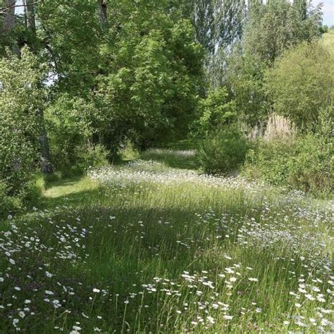 Image About Nature In Cottage Core Green Nature Nature Aesthetic