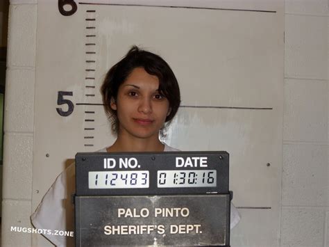 Rendon Ceceli Yvette 04 12 2025 Palo Pinto County Mugshots Zone
