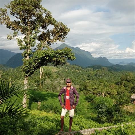 Kumbang Dolox Youtube