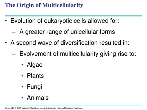 The History Of Life On Earth Ppt Download