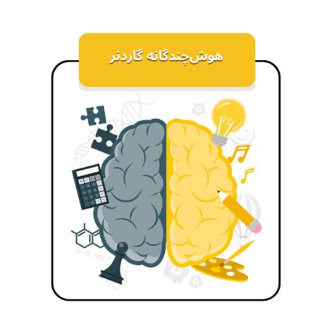 تست هوش چندگانه گاردنر استعداد گستران فرتاک نوین