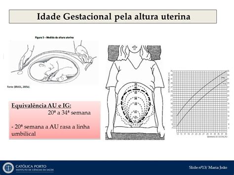 Adaptação Fisiológica Da Gravidez Ppt Video Online Carregar