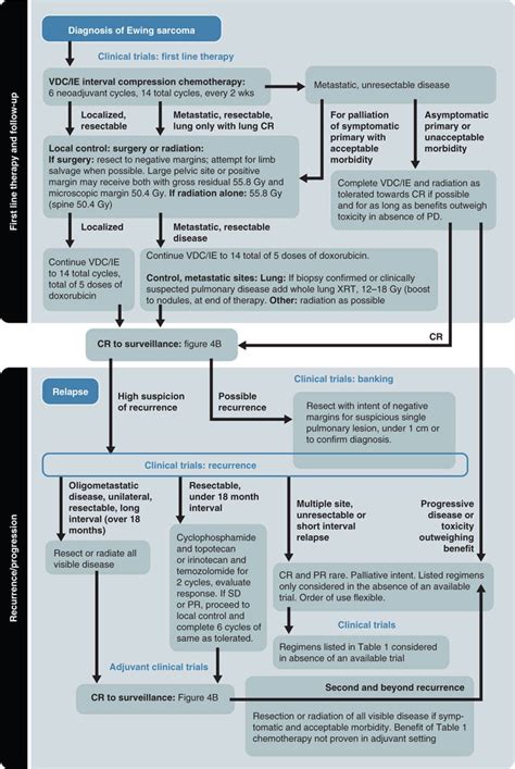 Ewing Sarcoma Oncohema Key