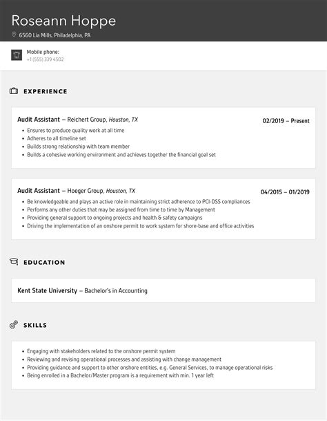 Audit Assistant Resume Samples Velvet Jobs