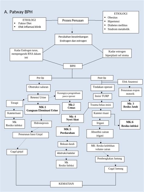 Patway Keperawatan Post Operasi Turp Pdf