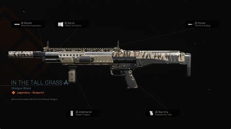 In The Tall Grass Cod Warzone And Modern Warfare Weapon Blueprint