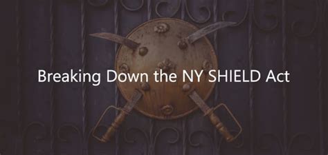 Breaking Down The New York Shield Act