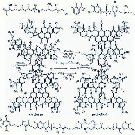 Detailed 2d Structure Of Chitosan And Pectin Ai Art Generator Easy